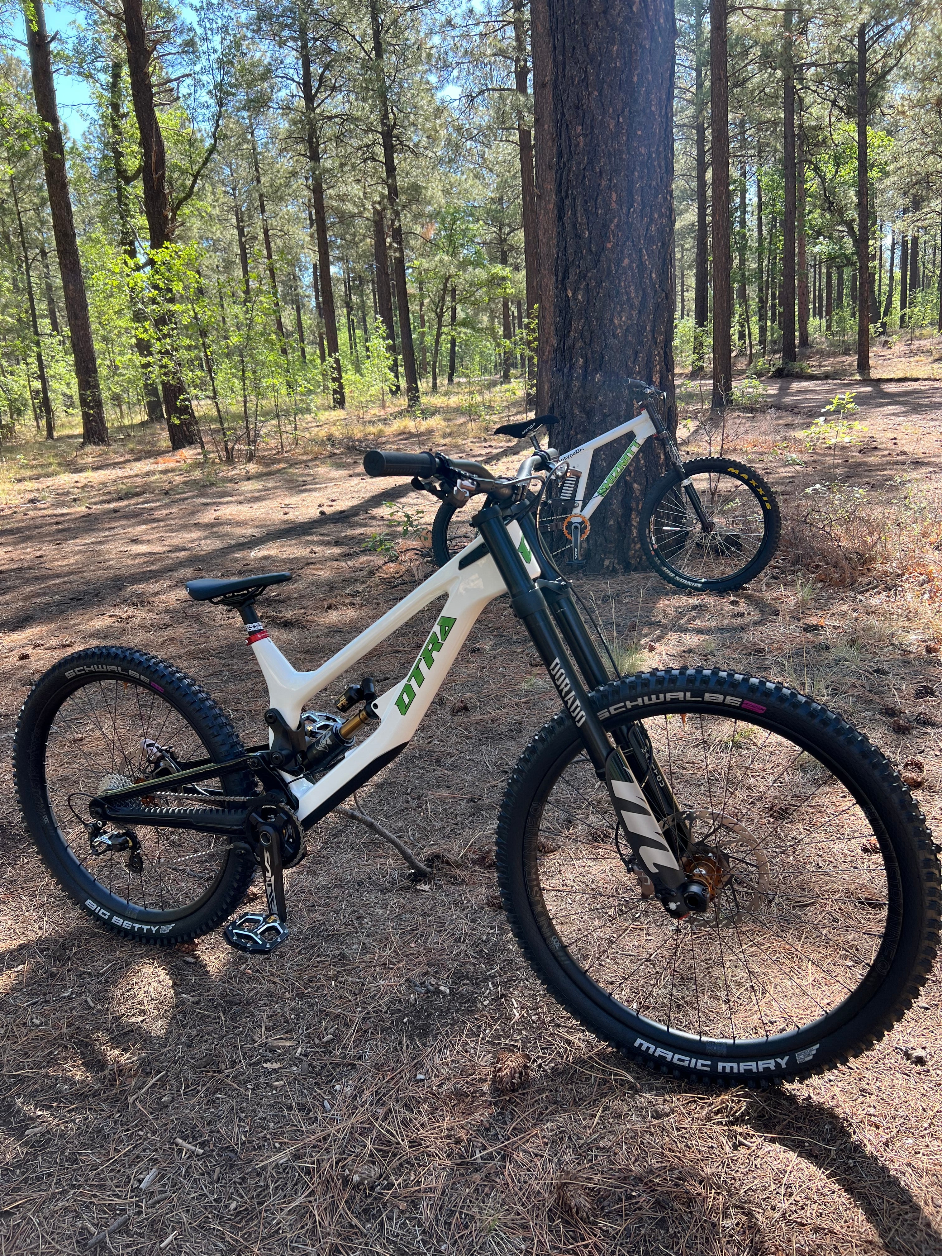 Big Jim DH – OTRA Bikes